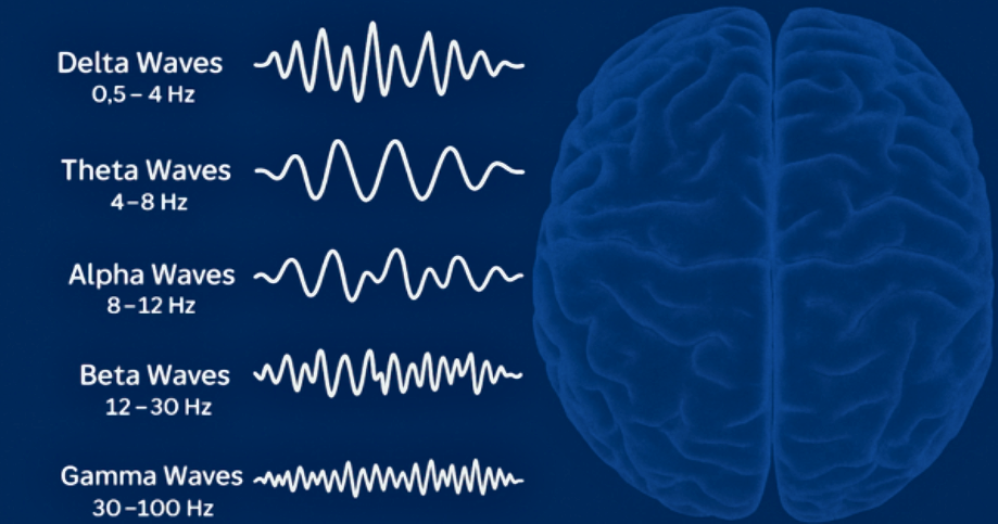 User Guide: The 5 Brain Wave Frequencies Measured by qEEG